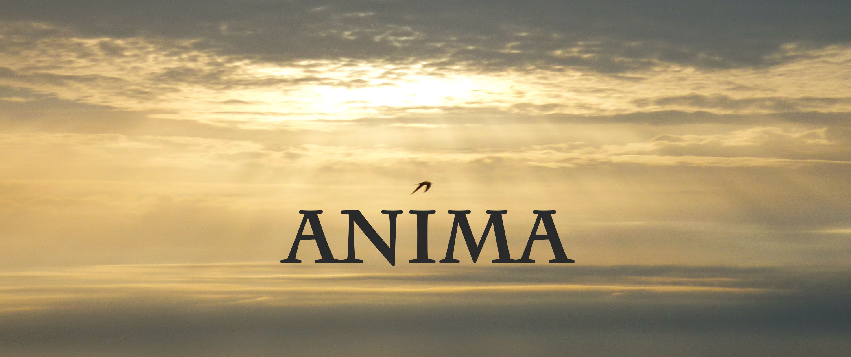 ANIMA (demo) | Moontain